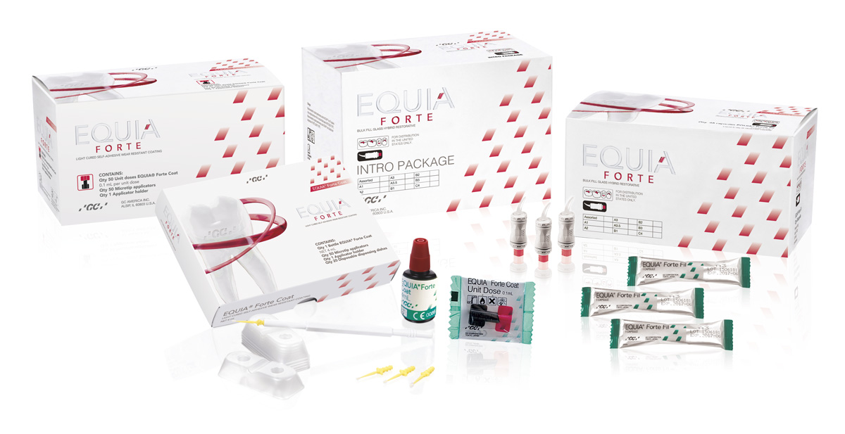 equia-forte – Focus